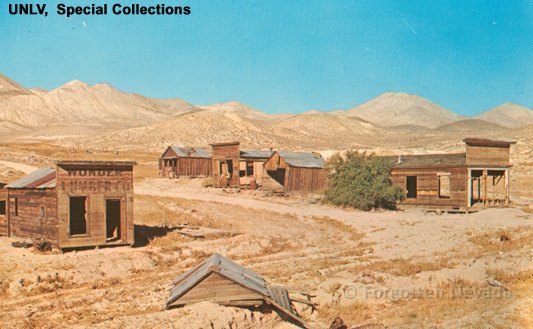 Rawhide